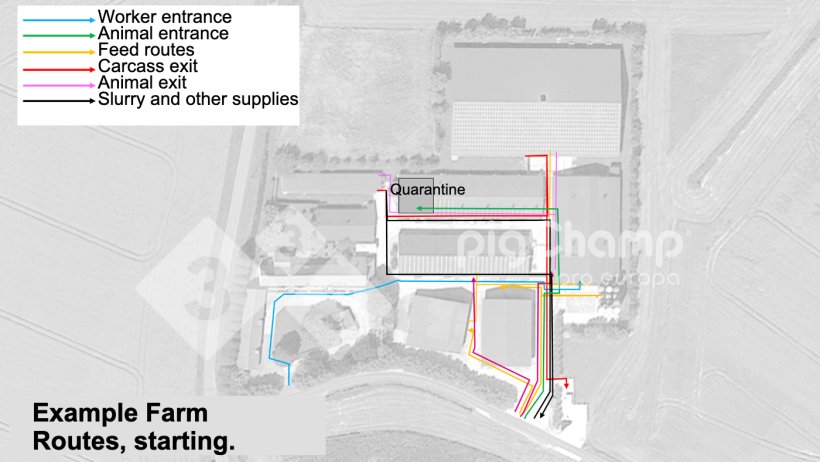 Defining and improving biosecurity rings on a real swine farm ...