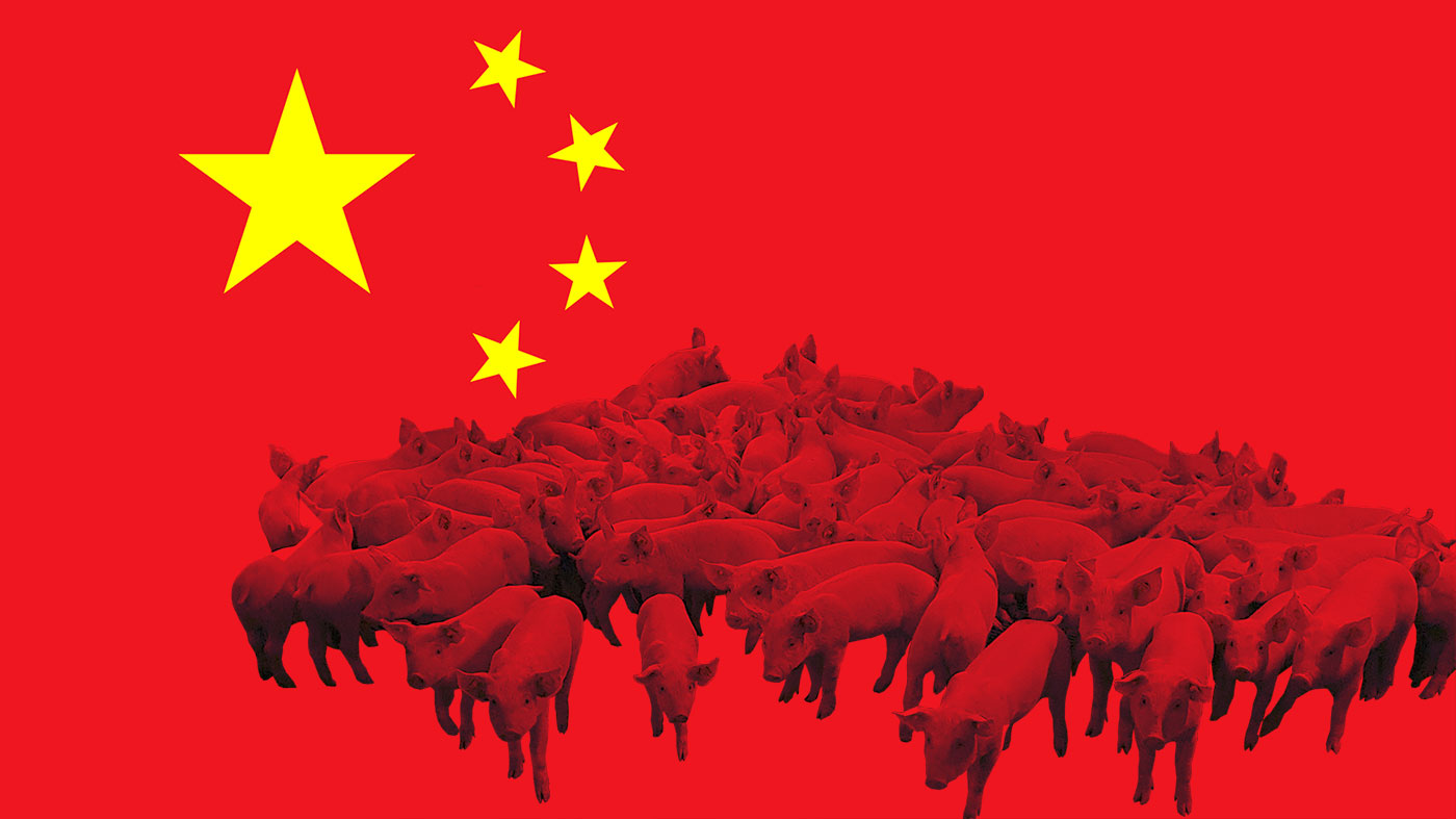 Pig market: China is back (not so pessimistic prediction) - Articles ...