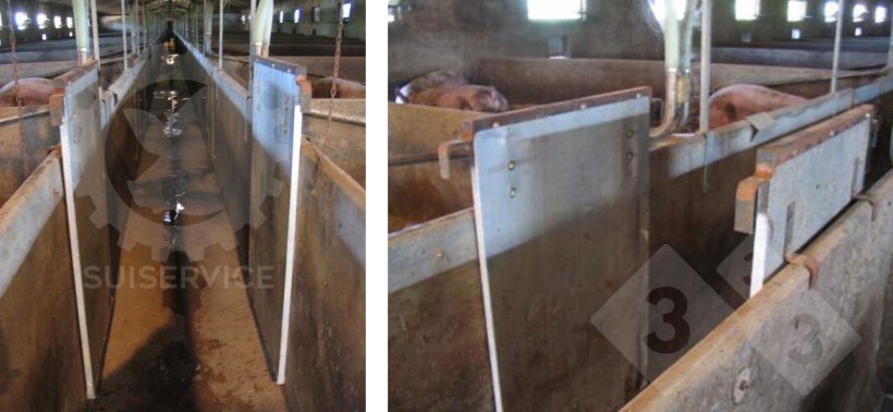 Tip: Custom-made gates for pig barn aisles - Articles - pig333, pig to ...