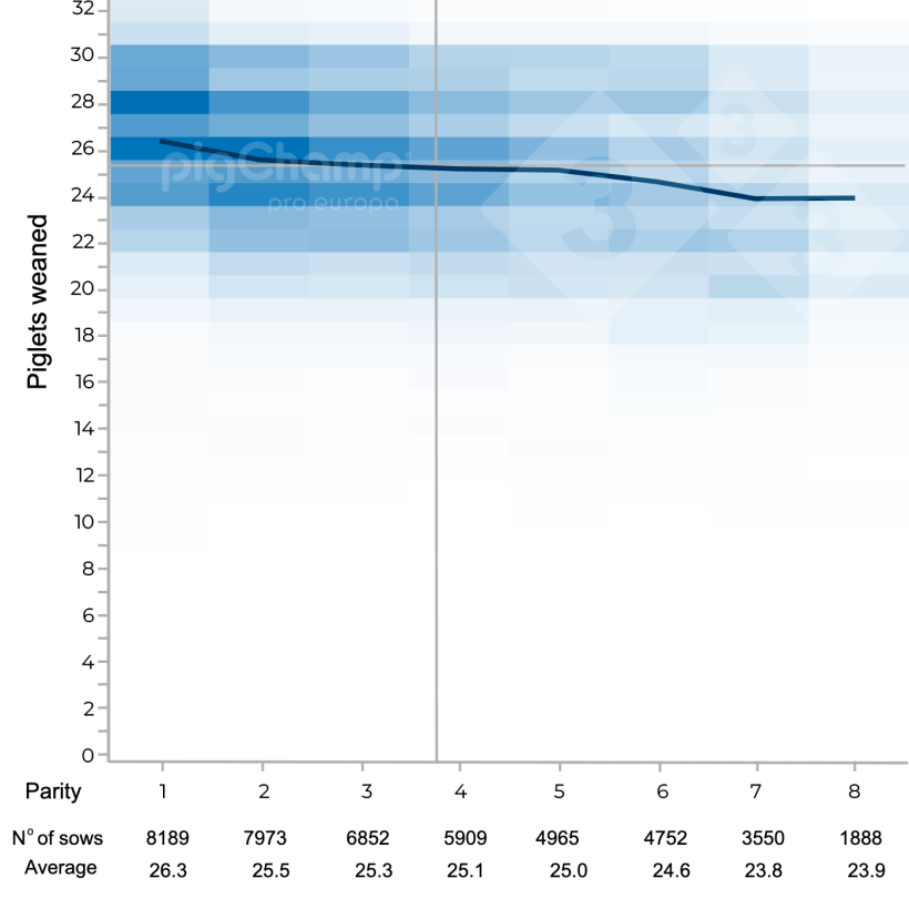 Evolution of nurse sows over the last 5 years - Articles - pig333, pig ...