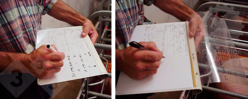 Tip: A very practical sow card holder - Articles - pig333, pig to pork ...