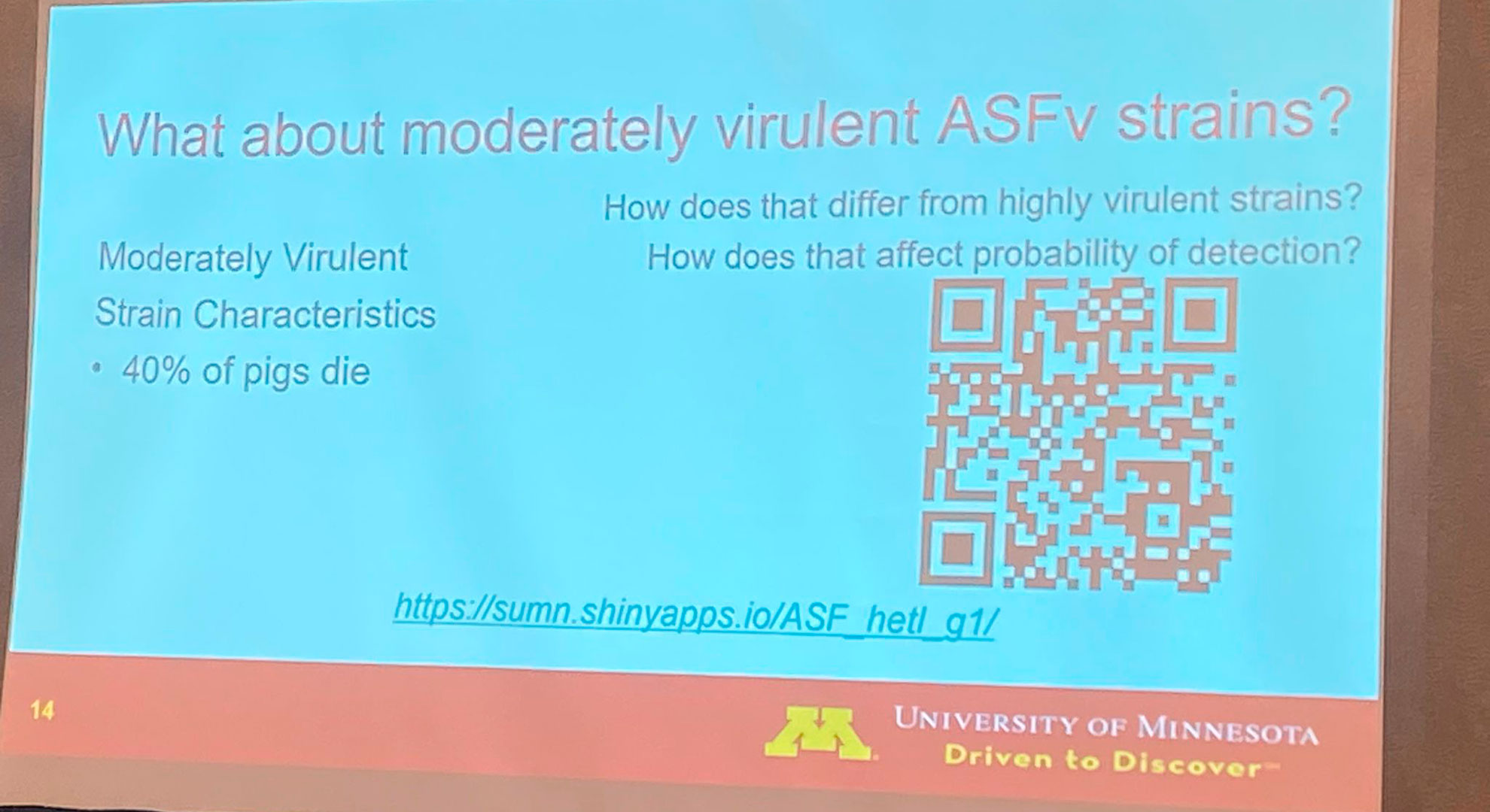 AASV 2023 - Reports - pig333, pig to pork community