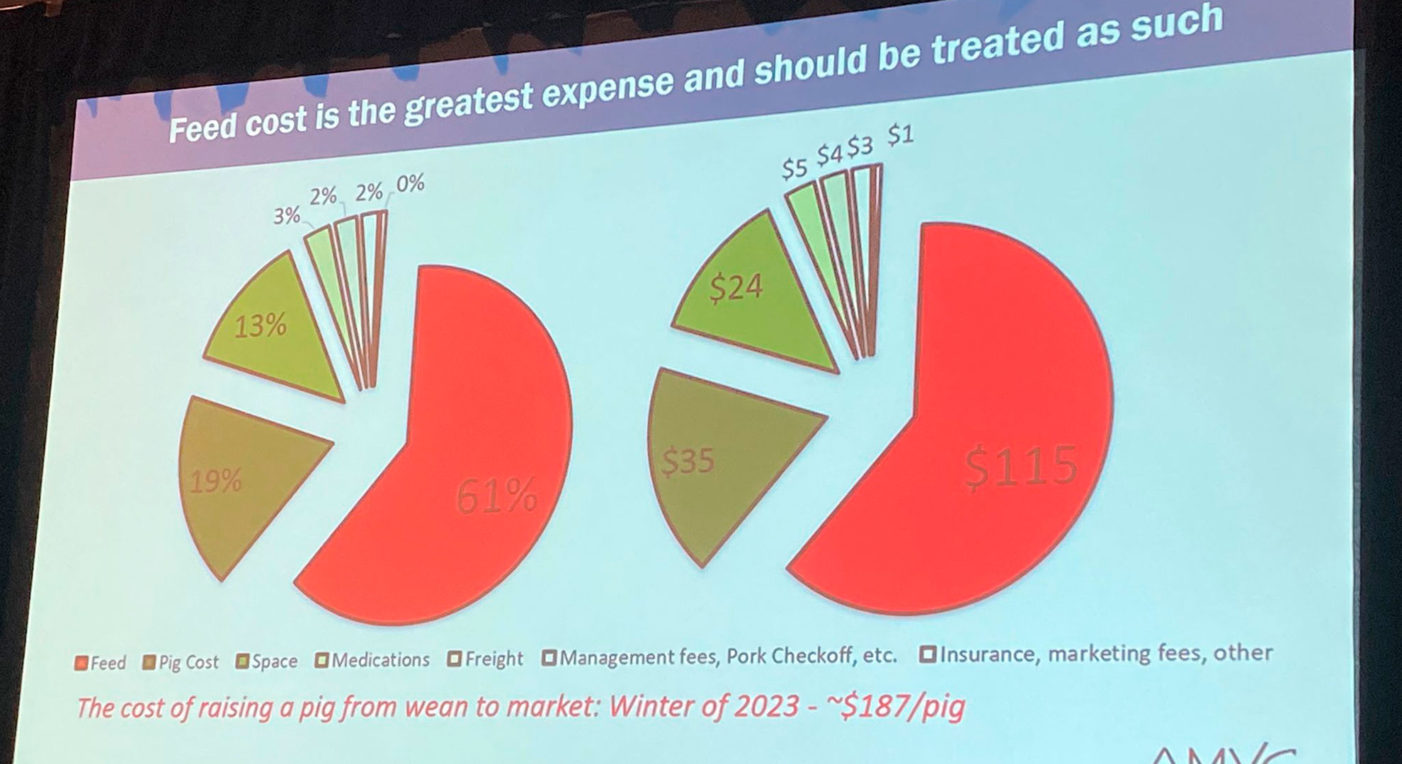 AASV 2023 - Reports - pig333, pig to pork community