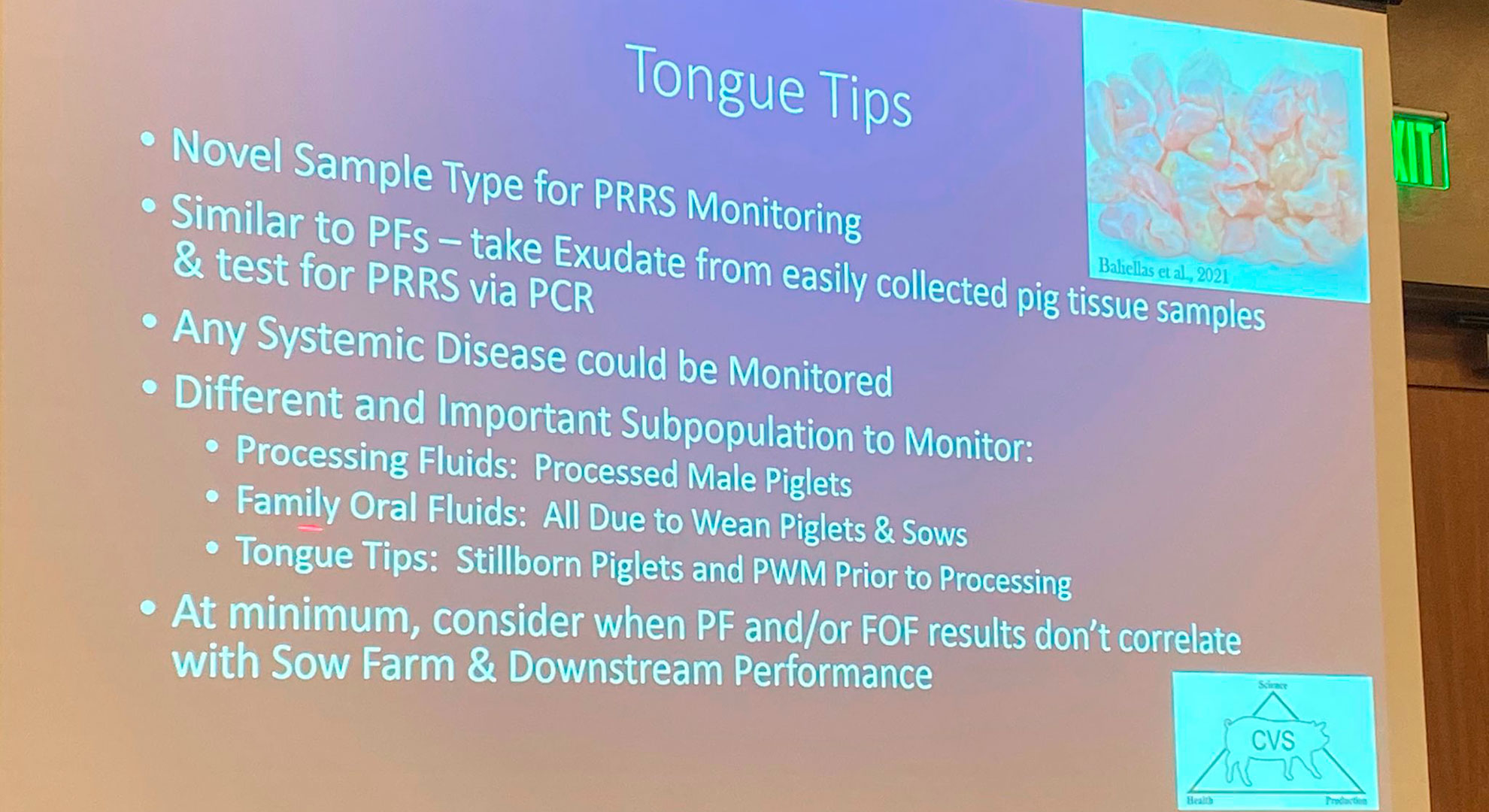 AASV 2023 - Reports - pig333, pig to pork community