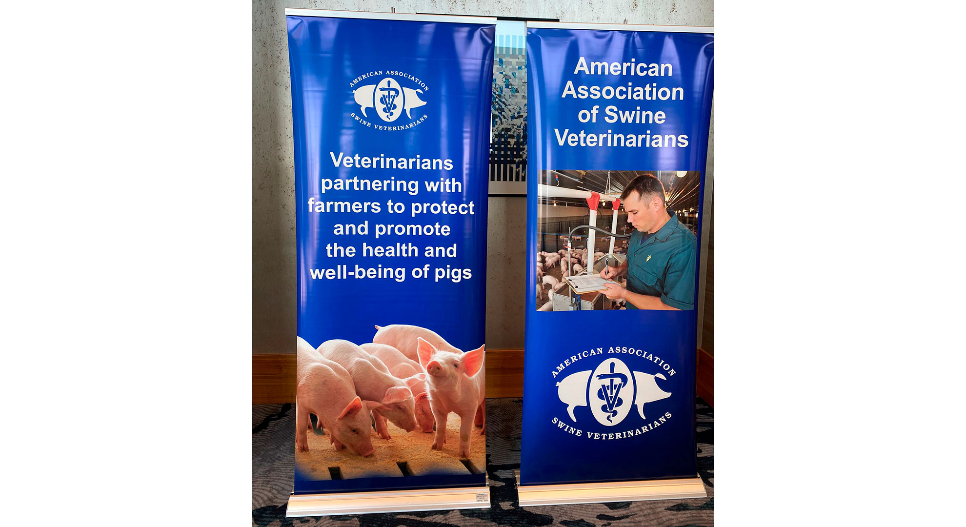 AASV 2023 - Reports - pig333, pig to pork community