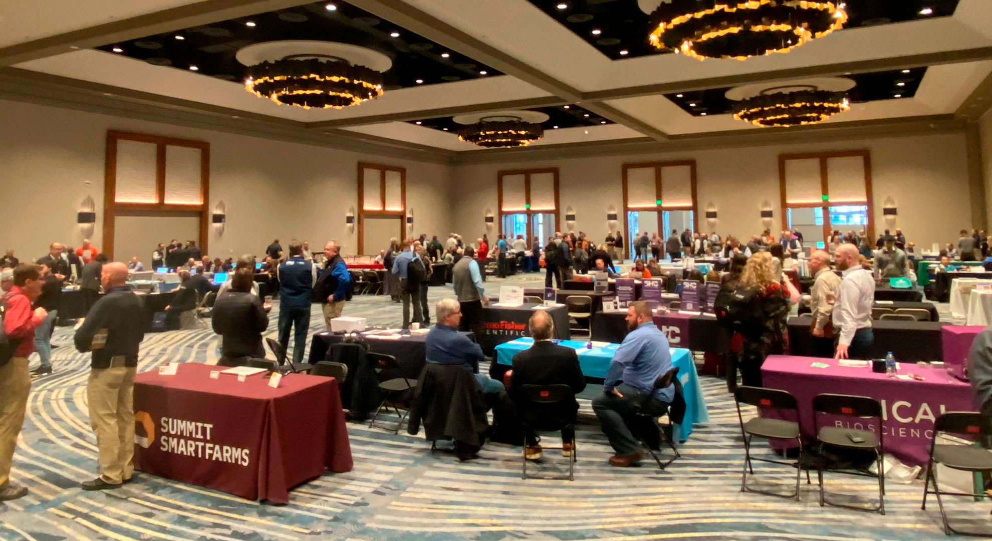 AASV 2023 - Reports - pig333, pig to pork community