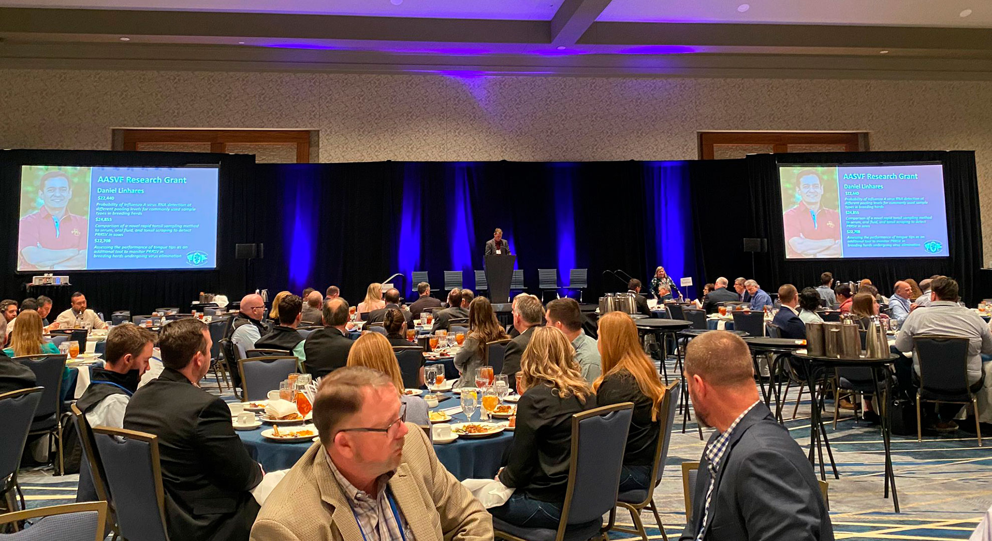 AASV 2023 - Reports - pig333, pig to pork community