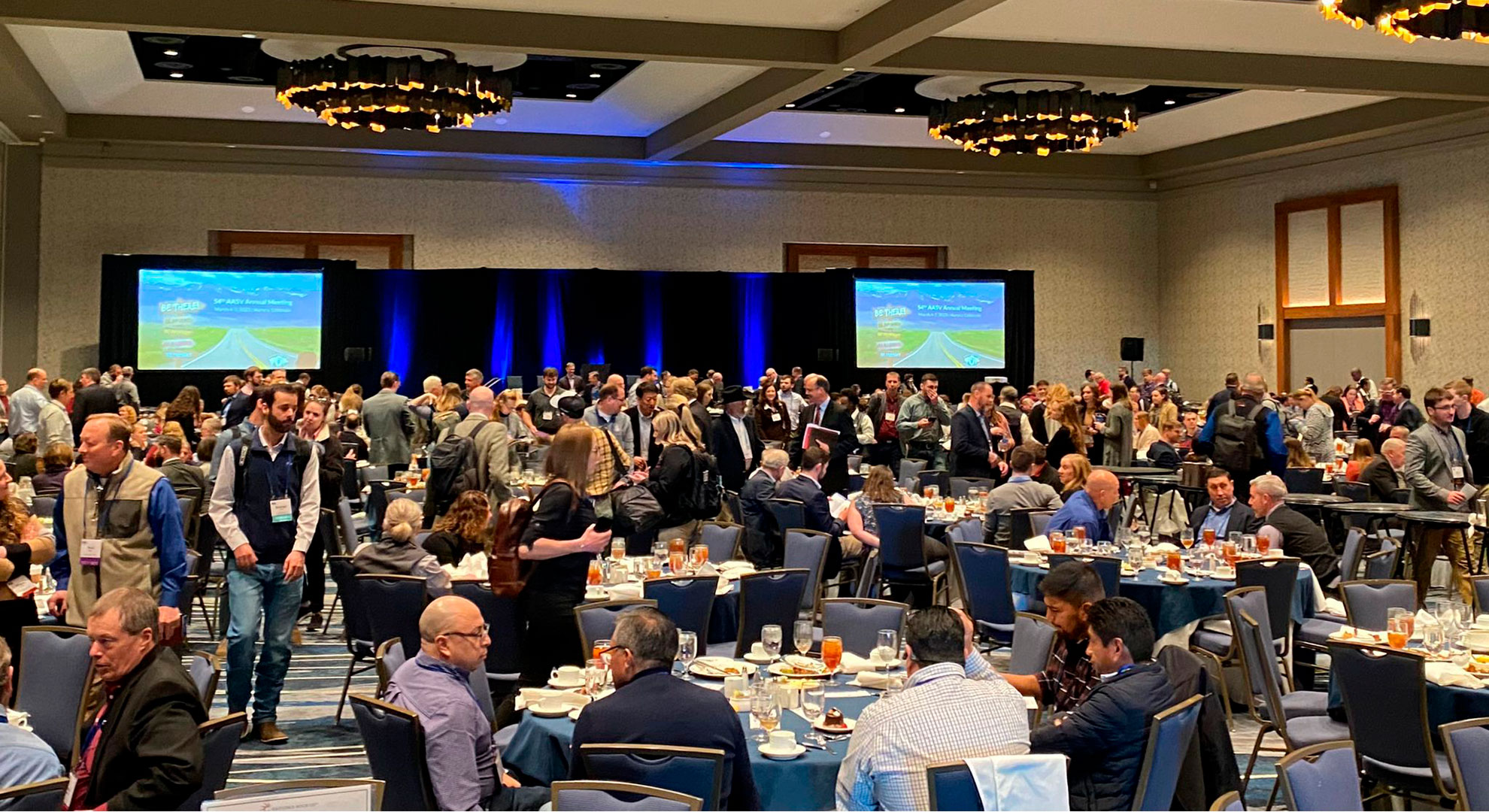 AASV 2023 - Reports - pig333, pig to pork community