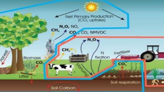 articles about nitrogen - pig333, pig to pork community