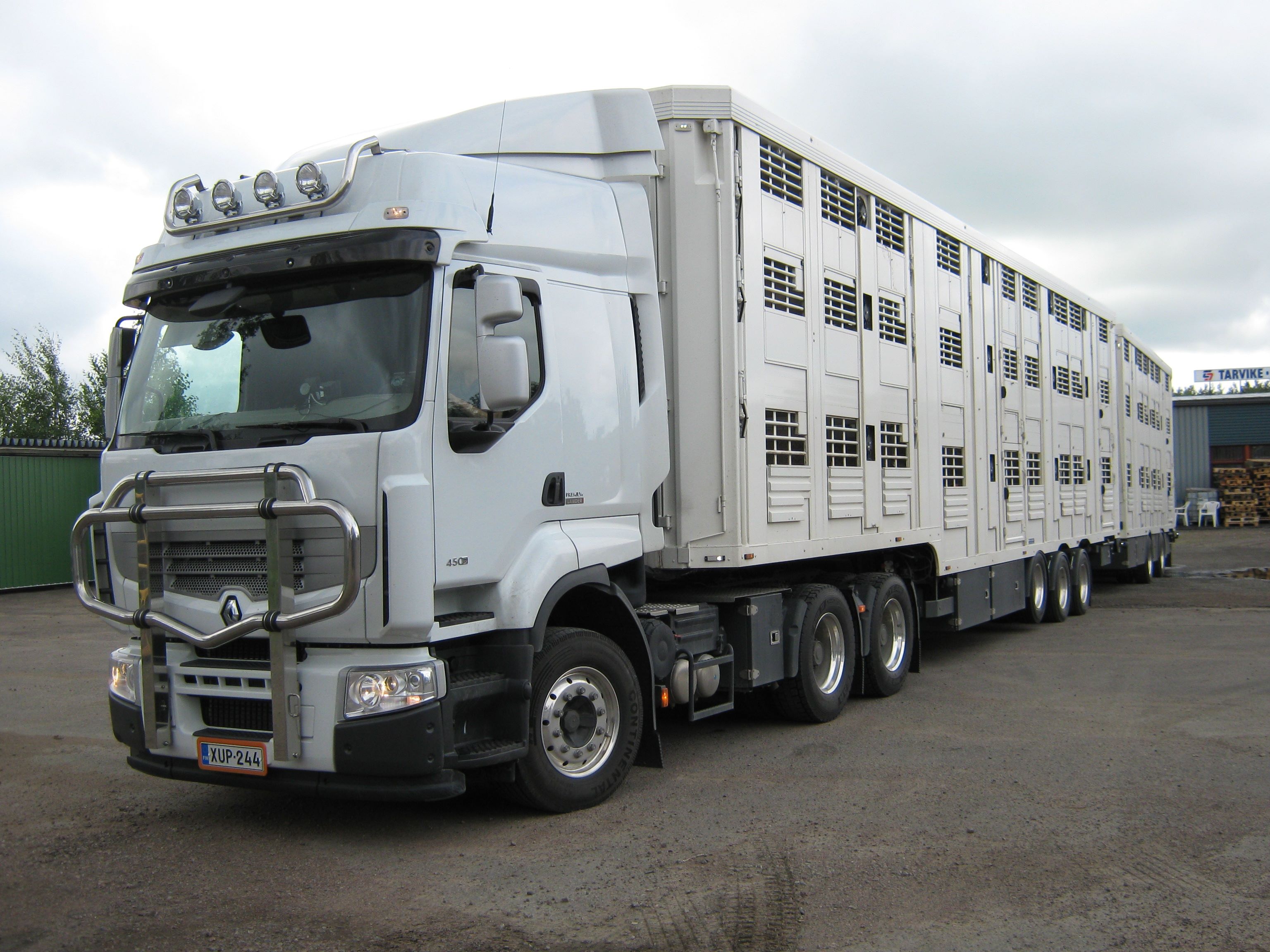 Spain activates temperature control plan during animal transport ...