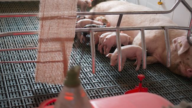 Proposition 12 guidance published in wake of Supreme Court decision ...