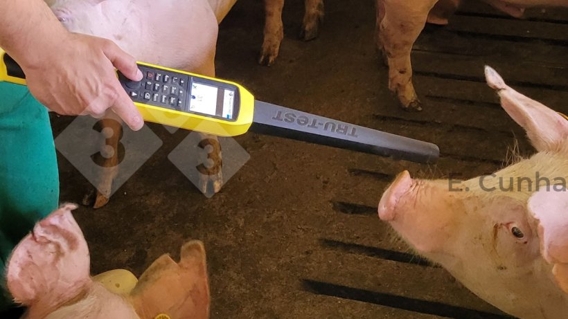 Five effective strategies to engage the new generation on the farm ...