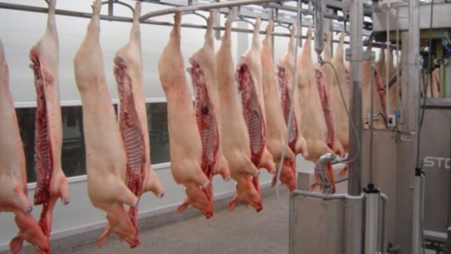 Outlook for the French swine industry in 2024 - Swine news - pig333 ...