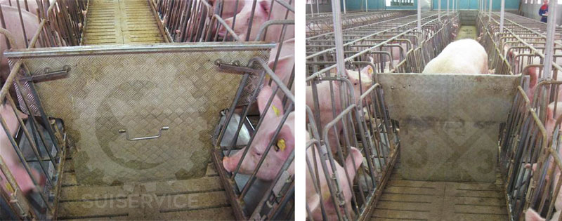 Tip: Panel to block the aisles during heat checking - Articles - pig333 ...