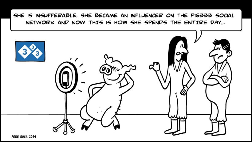 Pig influencer - Humor - pig333, pig to pork community