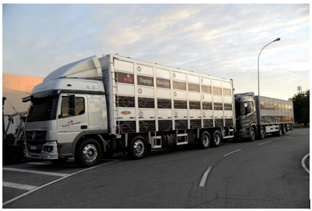 Quarantine station in Cananéia: Importing breeding pigs into Brazil ...