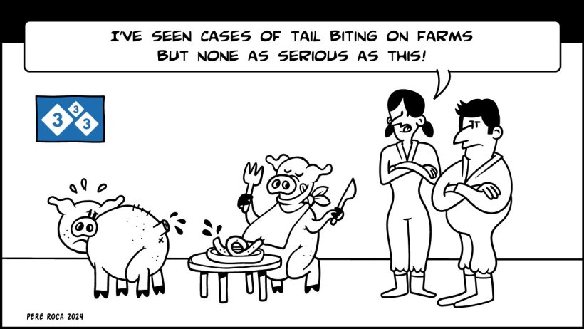 A bad case of tail biting - Humor - pig333, pig to pork community
