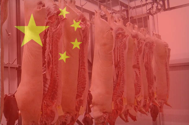 Possible Chinese tariffs on EU pork inching closer - Swine news ...