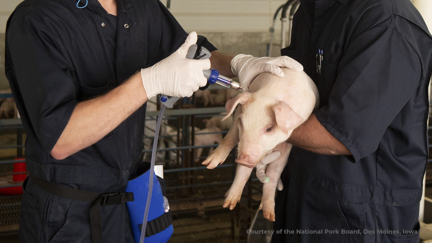 USDA invests $17.6M to protect the health and welfare of livestock ...