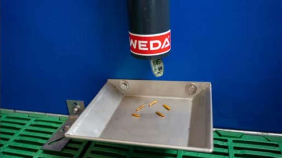 WEDA EuroTier novelty 2024: ProBar - Press releases from the swine ...