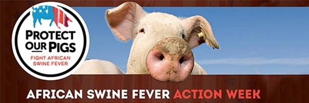 USDA Hosts Fourth African Swine Fever Action Week - Press releases from ...