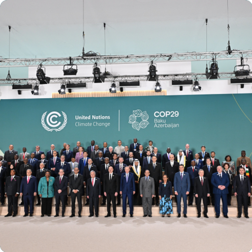 EU: Ambitious goals for climate finance and investment at COP29 - Swine ...