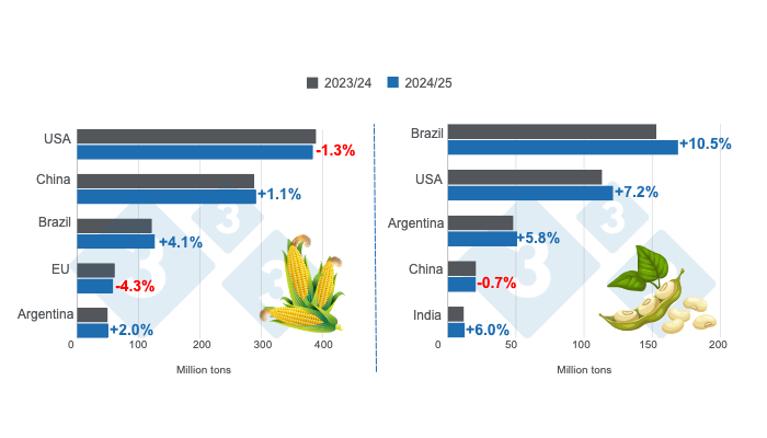 USDA corn and soybean projections for the 2024/25 season - November ...