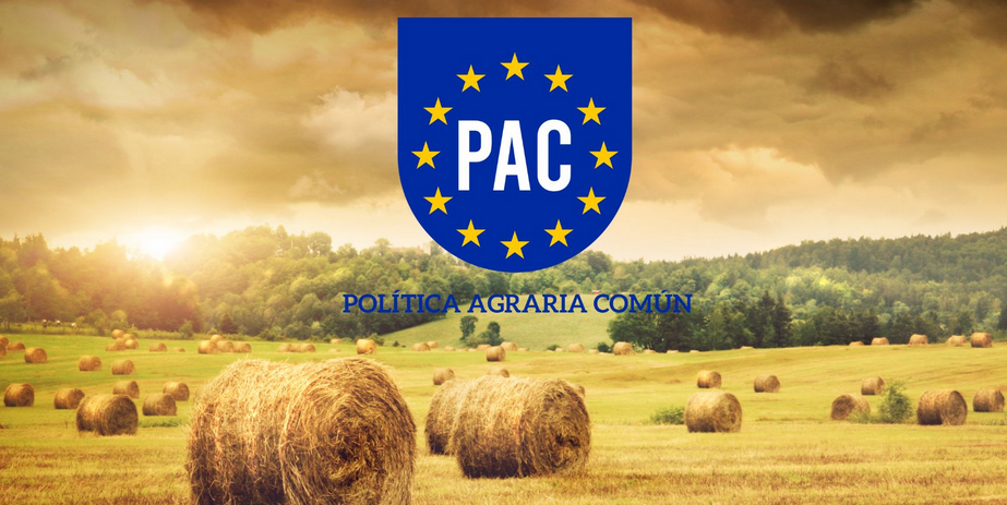 A competitive and farmer-focused CAP - Swine news - pig333, pig to pork ...