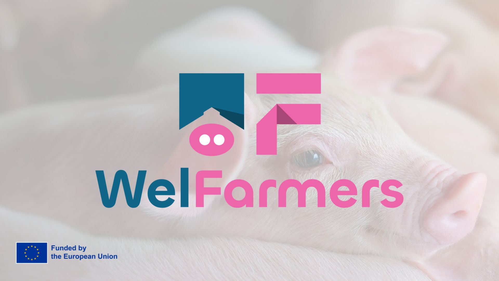 WelFarmers: Promoting best practices in pig welfare in Europe - About ...