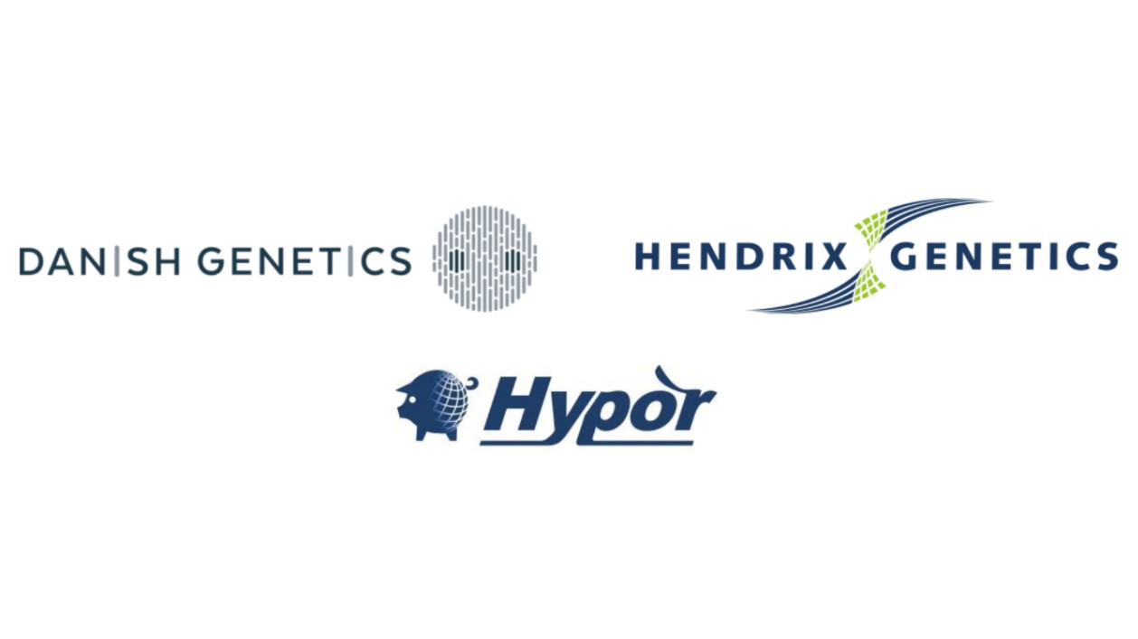 Merger of Hypor and Danish Genetics Officially Closed - Press releases ...