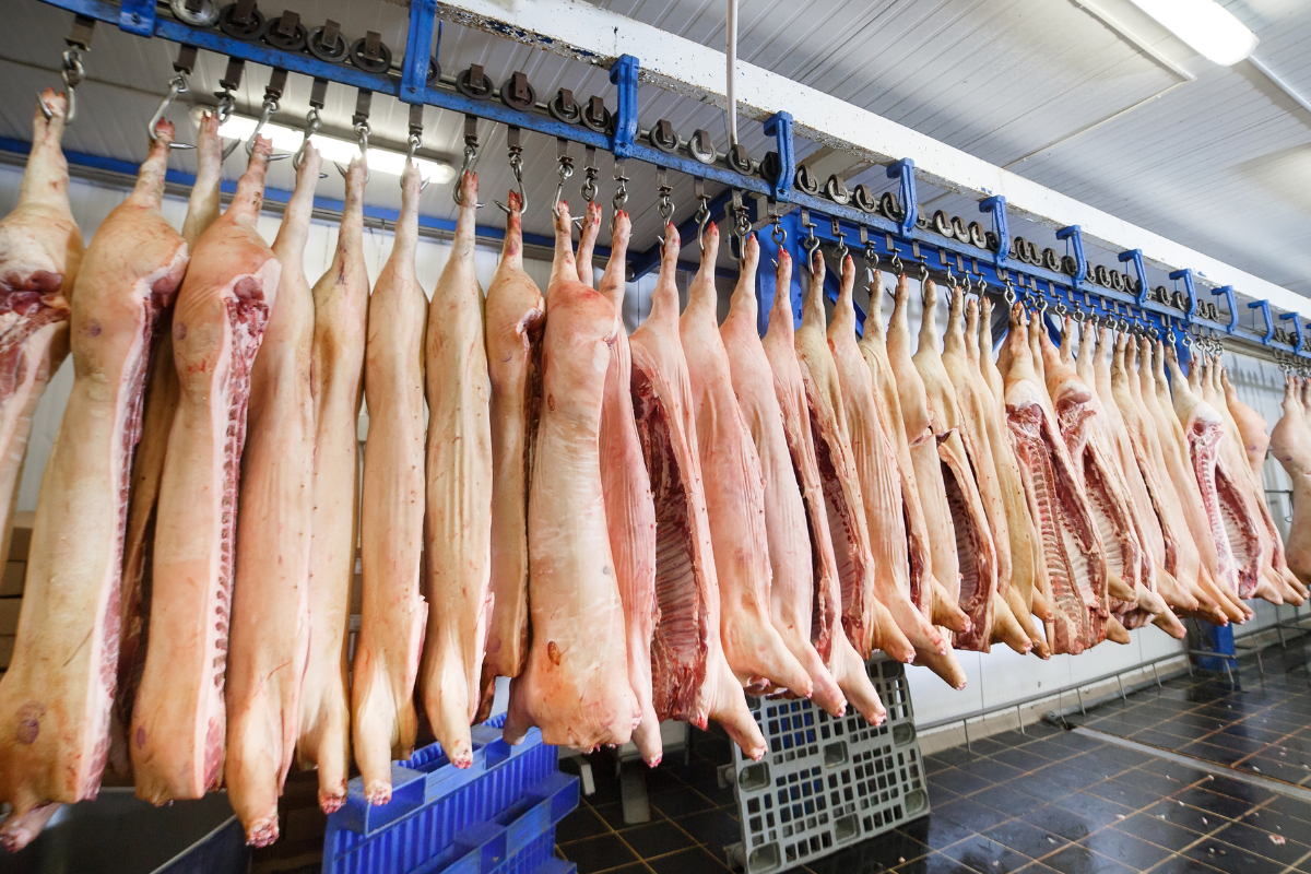 Ranking of the largest slaughter pig producers in Russia in 2024 ...