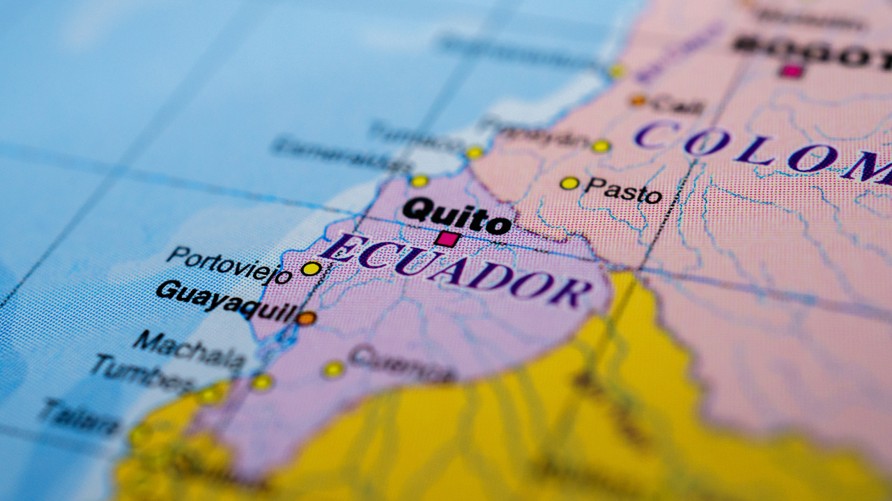 Current situation of Ecuador's pork sector - Swine news - pig333, pig ...