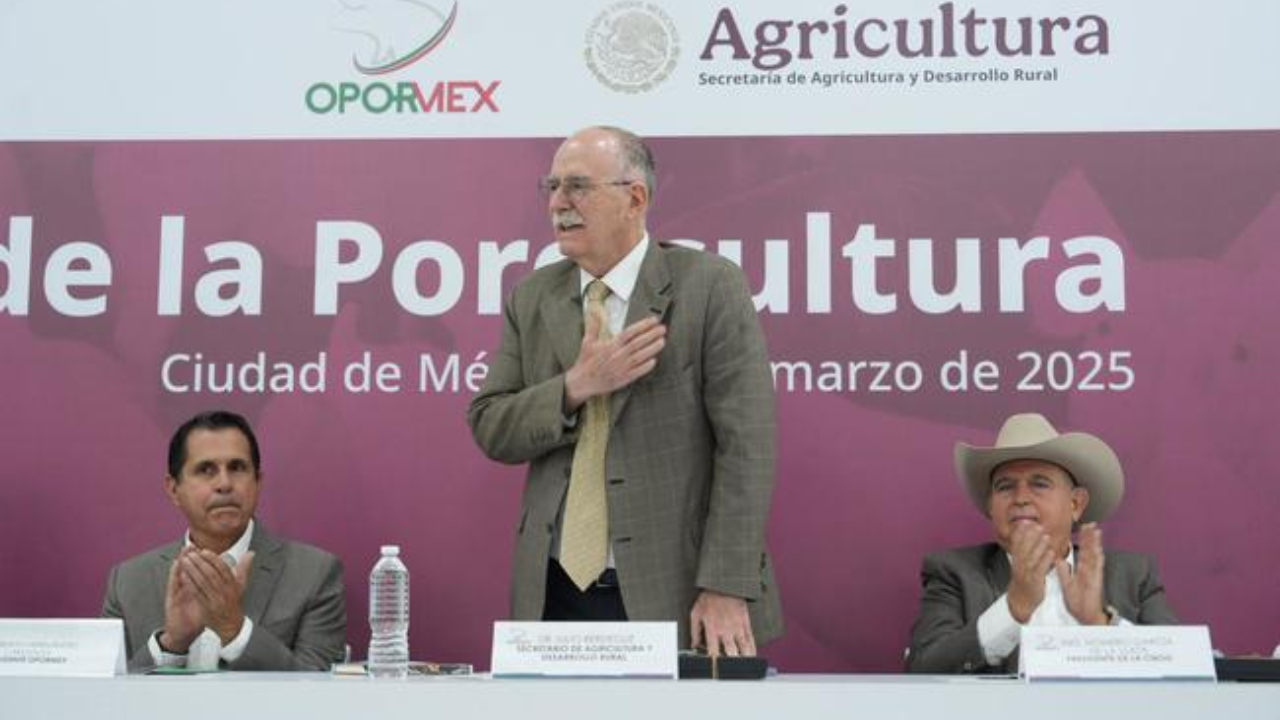 Mexico boosts pork production to reduce imports - Swine news - pig333 ...