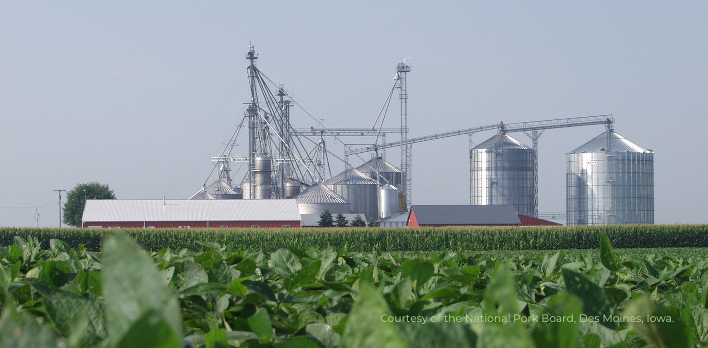 U.S. farmers expect to plant more corn and less soybean acres in 2025 ...