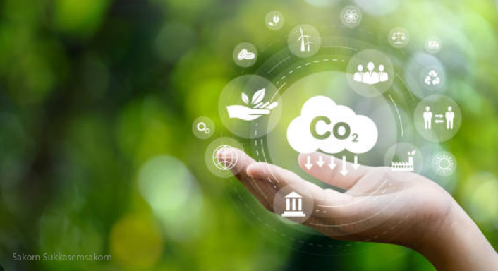 France: Low carbon label for pig farming open to public consultation ...