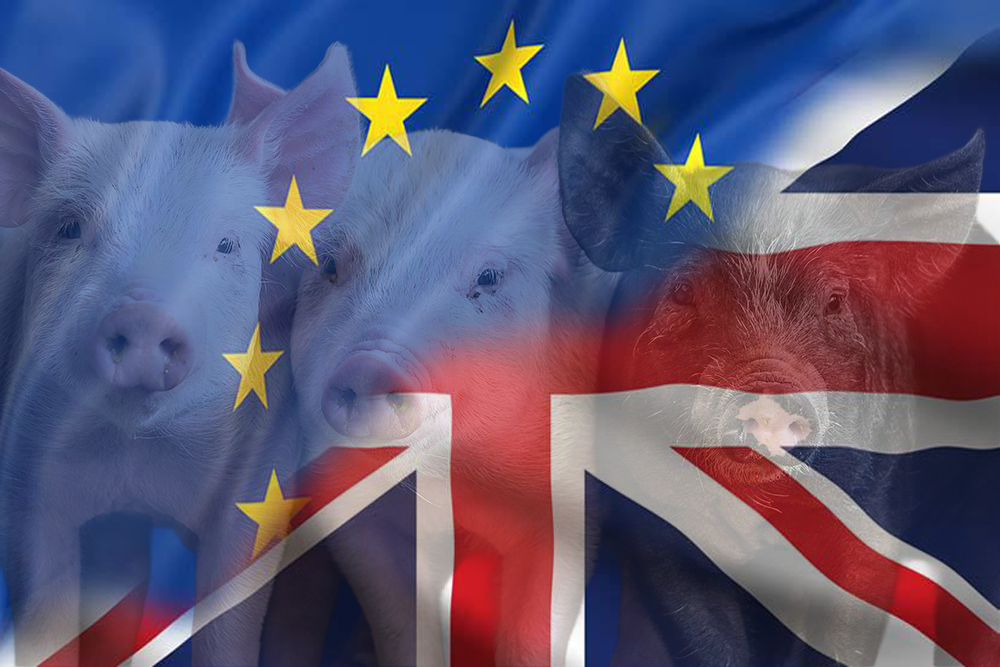 EU and UK seek SPS agreement to facilitate agricultural trade - Swine ...