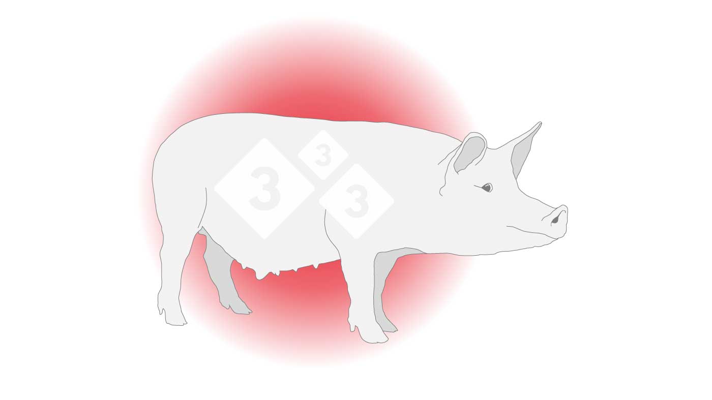 Chronic inflammation. The unknown (profit) assassin - Articles - pig333 ...