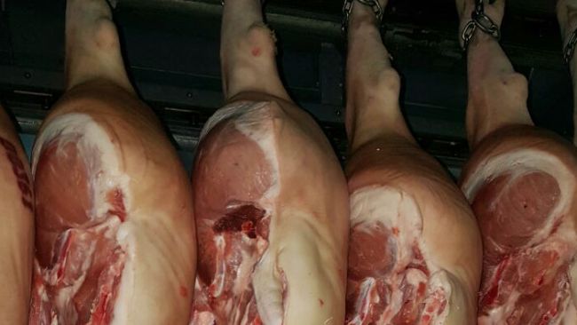 The Philippines: Livestock data analytics group to protect producers ...