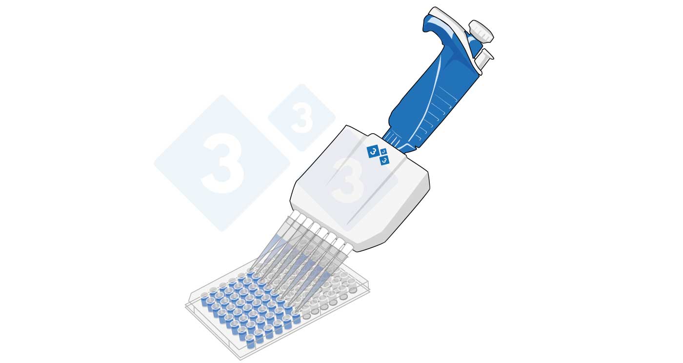 Fundamentals and mechanisms of the ELISA test - Articles - pig333, pig ...