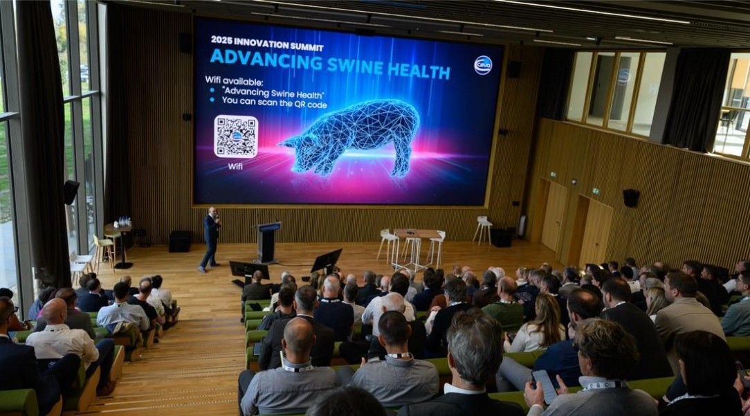 Ceva Swine Innovation Summit 2025: Advancing Swine Health - Press releases from the swine sector ...