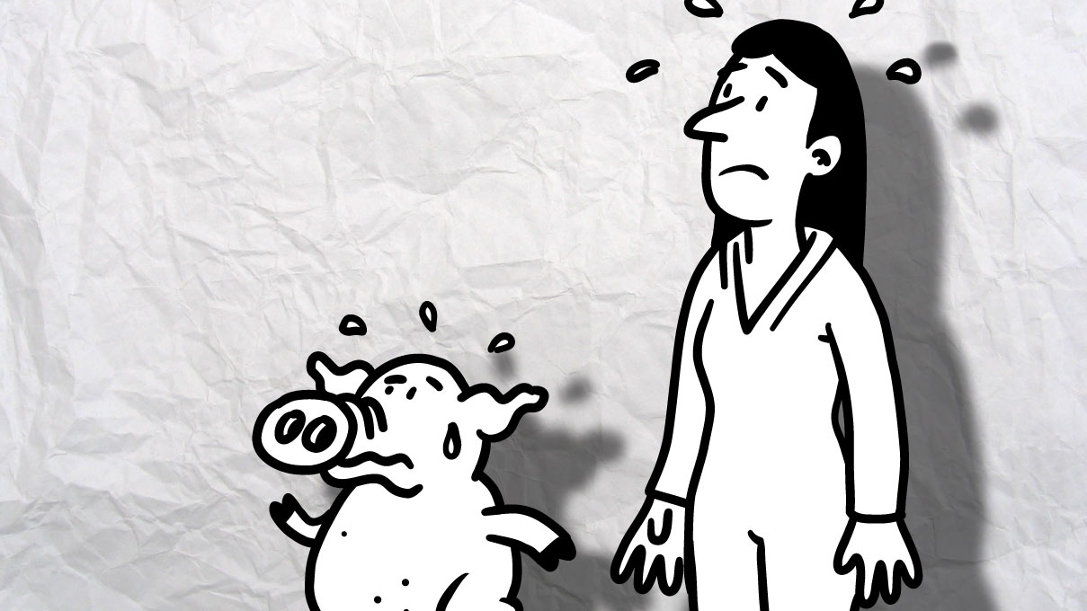 Falling pig prices - Humor - pig333, pig to pork community