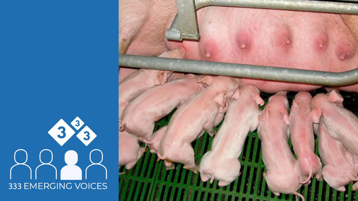 333 Emerging Voices: Factors determining piglet growth in lactation ...