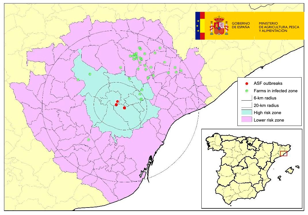 Spain confirms 7 new cases of ASF in wild boar in the same area - Swine ...