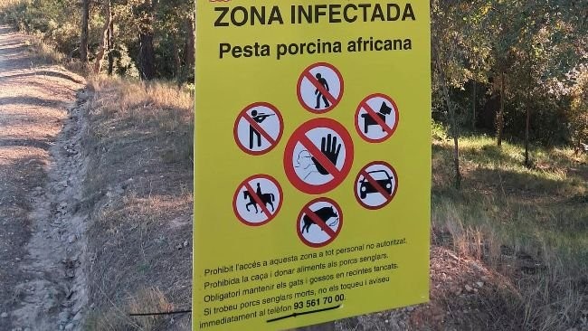 FAQs about the ASF outbreak in wild boar in Spain - Articles - pig333 ...
