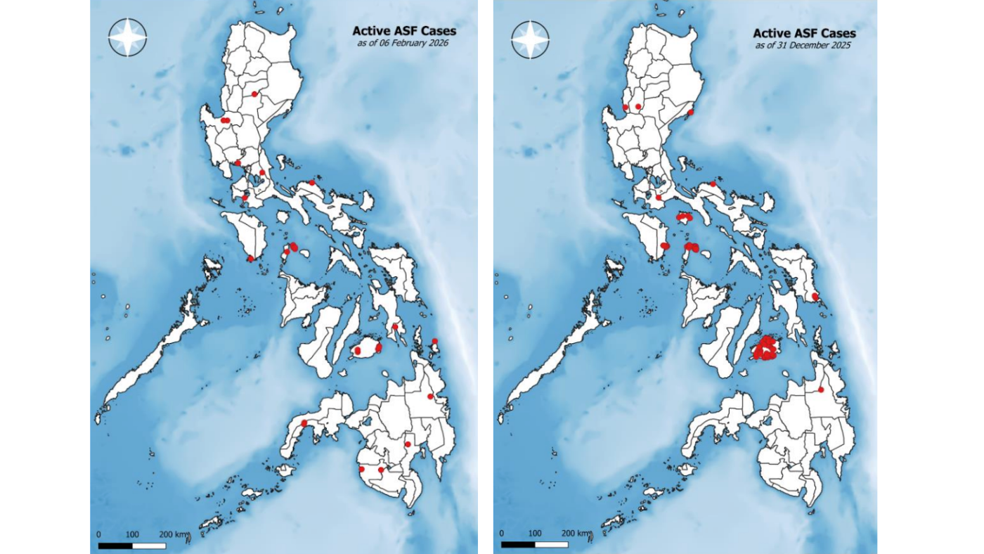 ASF Philippines: Fewer areas affected - Swine news - pig333, pig to ...