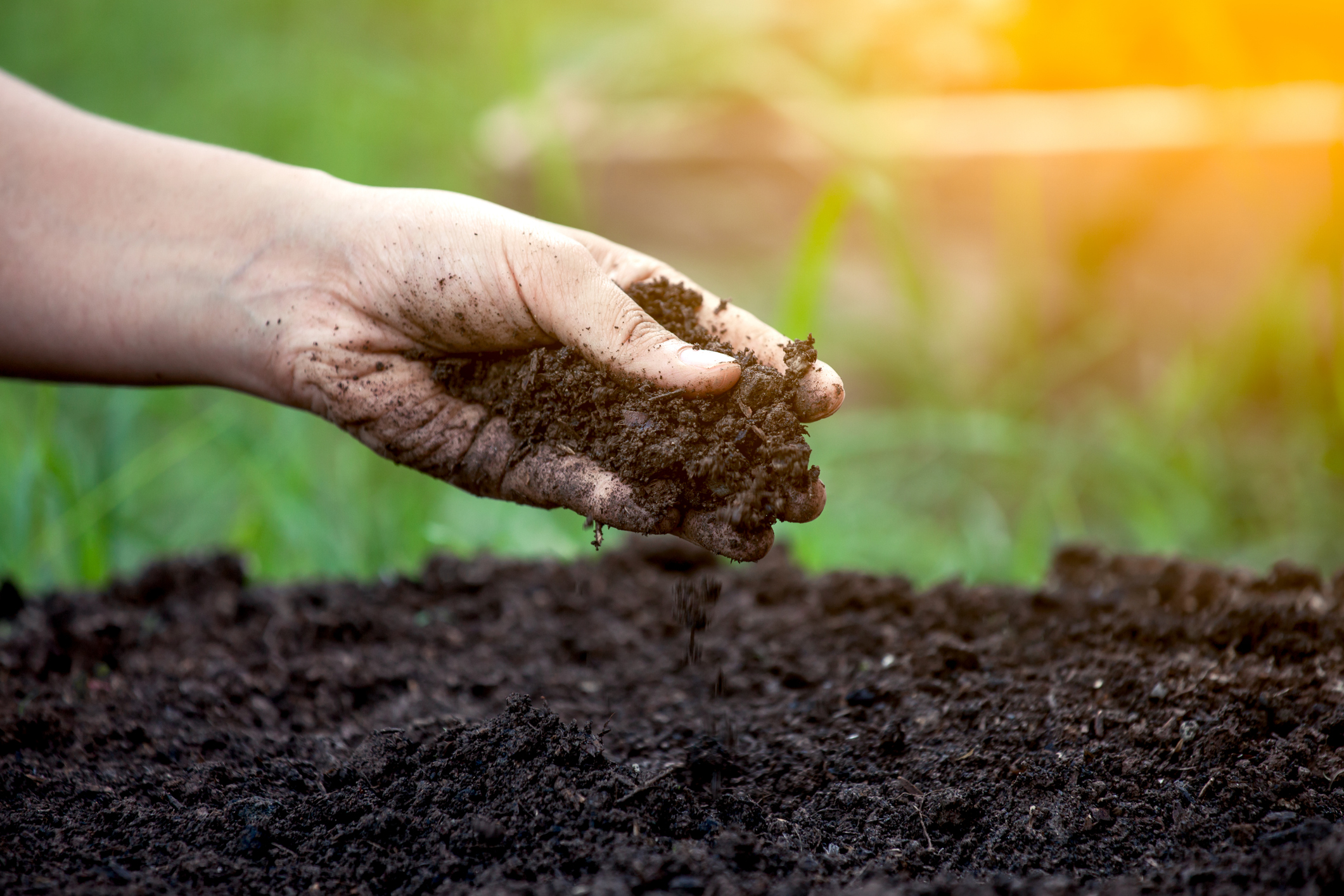 EU: final green light for RENURE fertilisers - Swine news - pig333, pig ...
