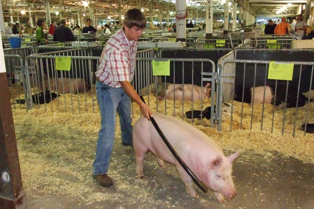 World Pork Expo 2011 - Reports - pig333, pig to pork community