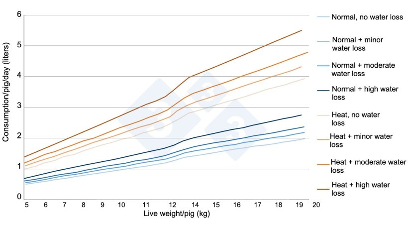How low water consumption affects medication results in pigs - Articles ...