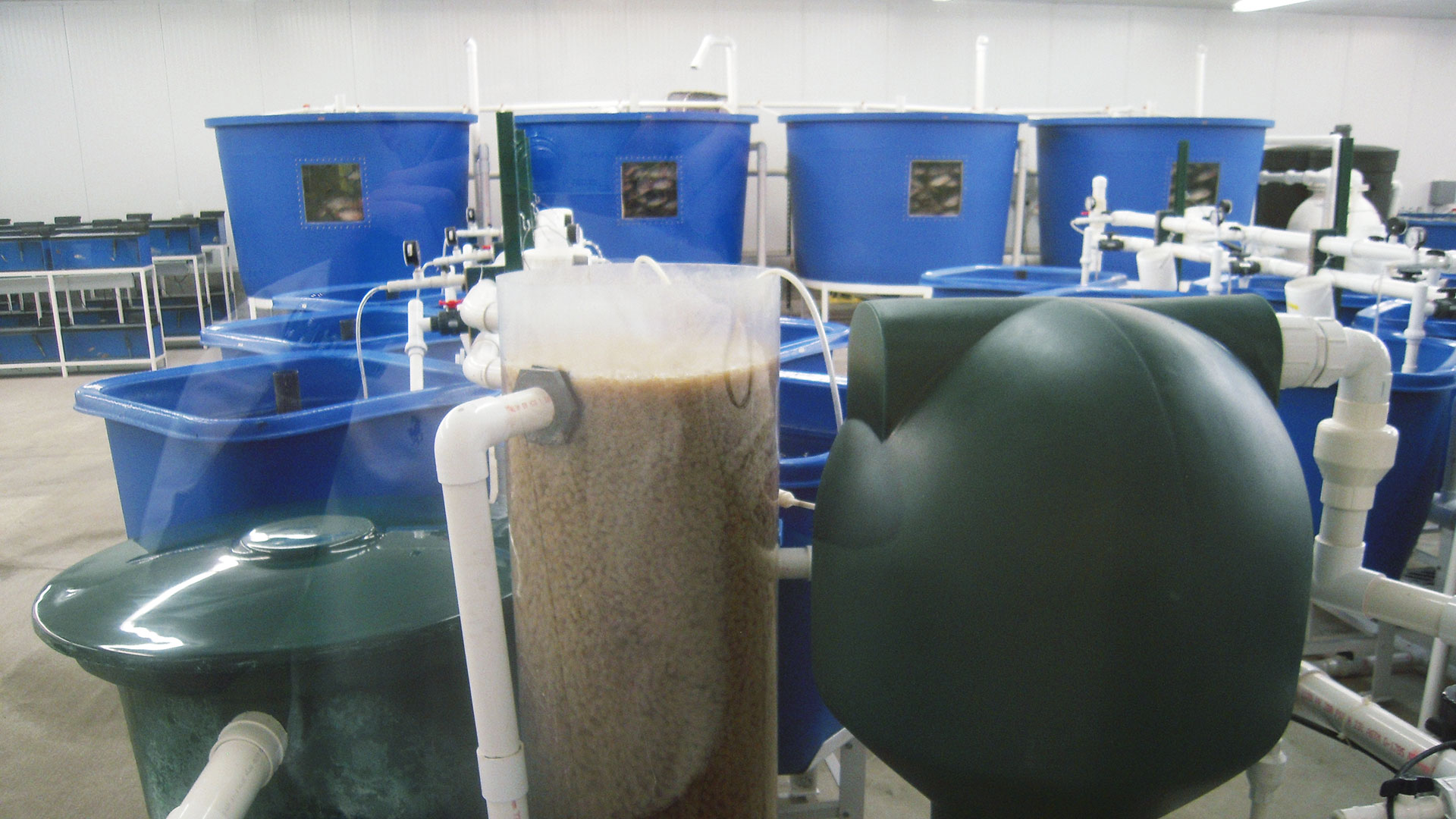 Alltech 28th Annual International Symposium - Reports - pig333, pig to ...
