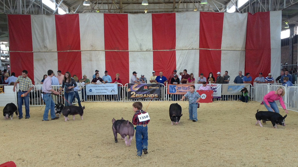 World Pork Expo 2013 - Reports - pig333, pig to pork community